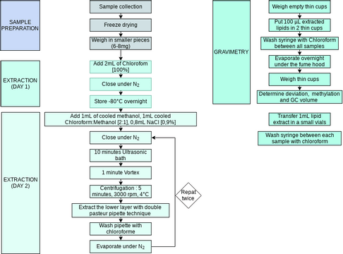 Logigramme protocole | Visual Paradigm Community